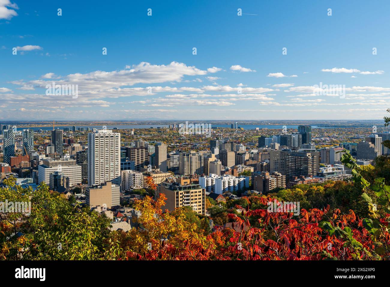 Downtown Montreal city skyline in autumn. Montreal, Quebec, Canada ...