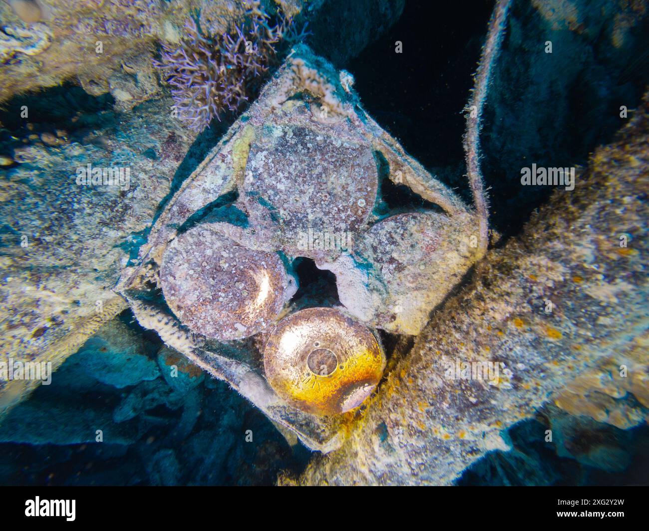 Box of 4 inch Artillery Ammunition Shells underwater on the Wreck of SS ...