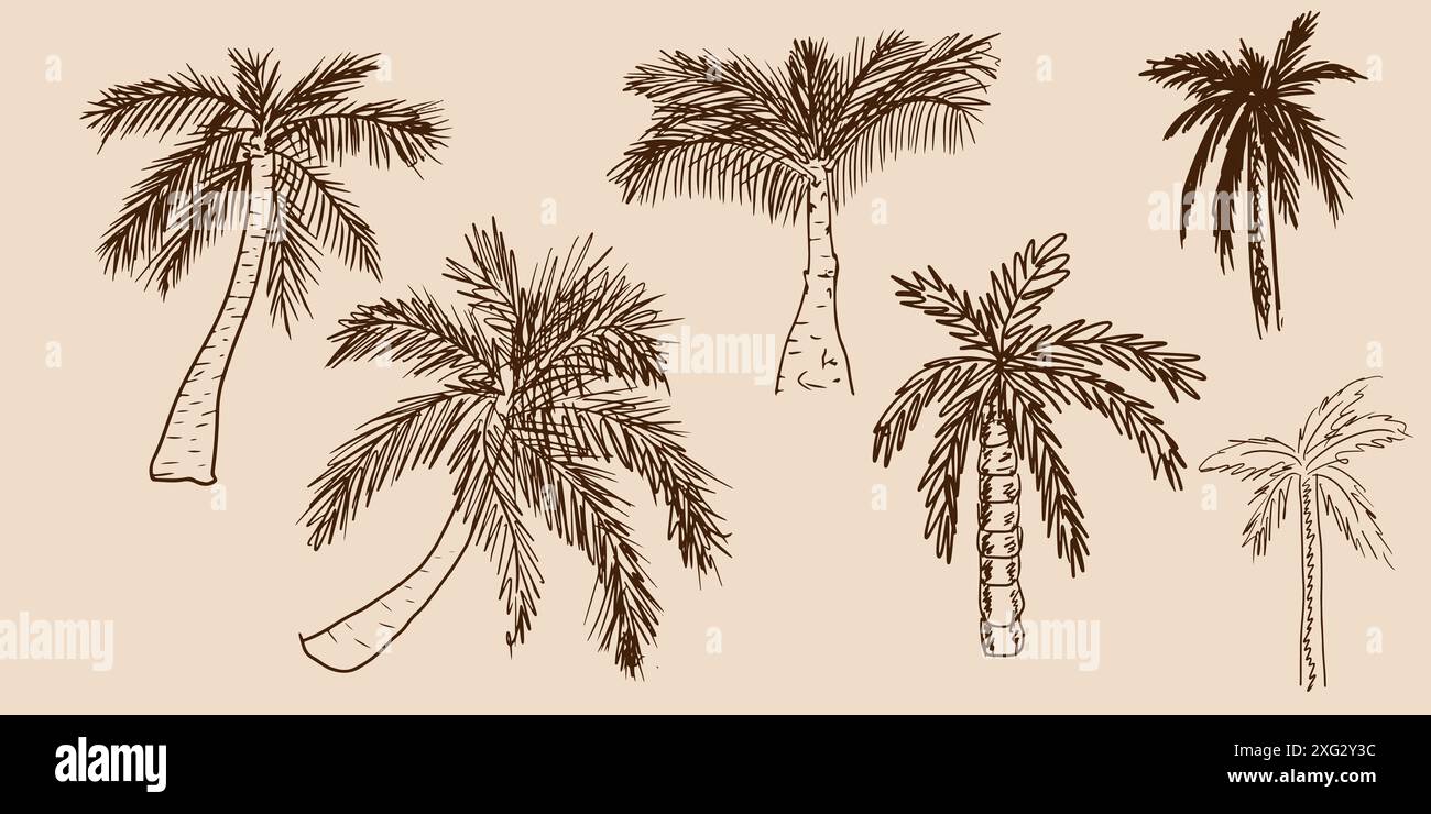 Caribbean flora Stock Vector Images - Alamy