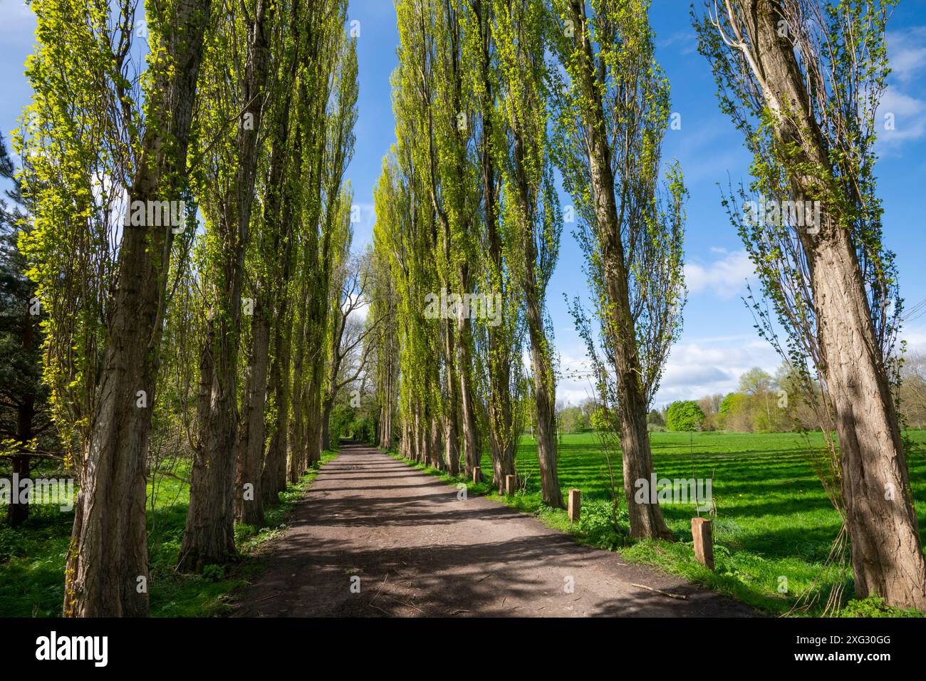 Fletcher moss botanical gardens hi-res stock photography and images - Alamy