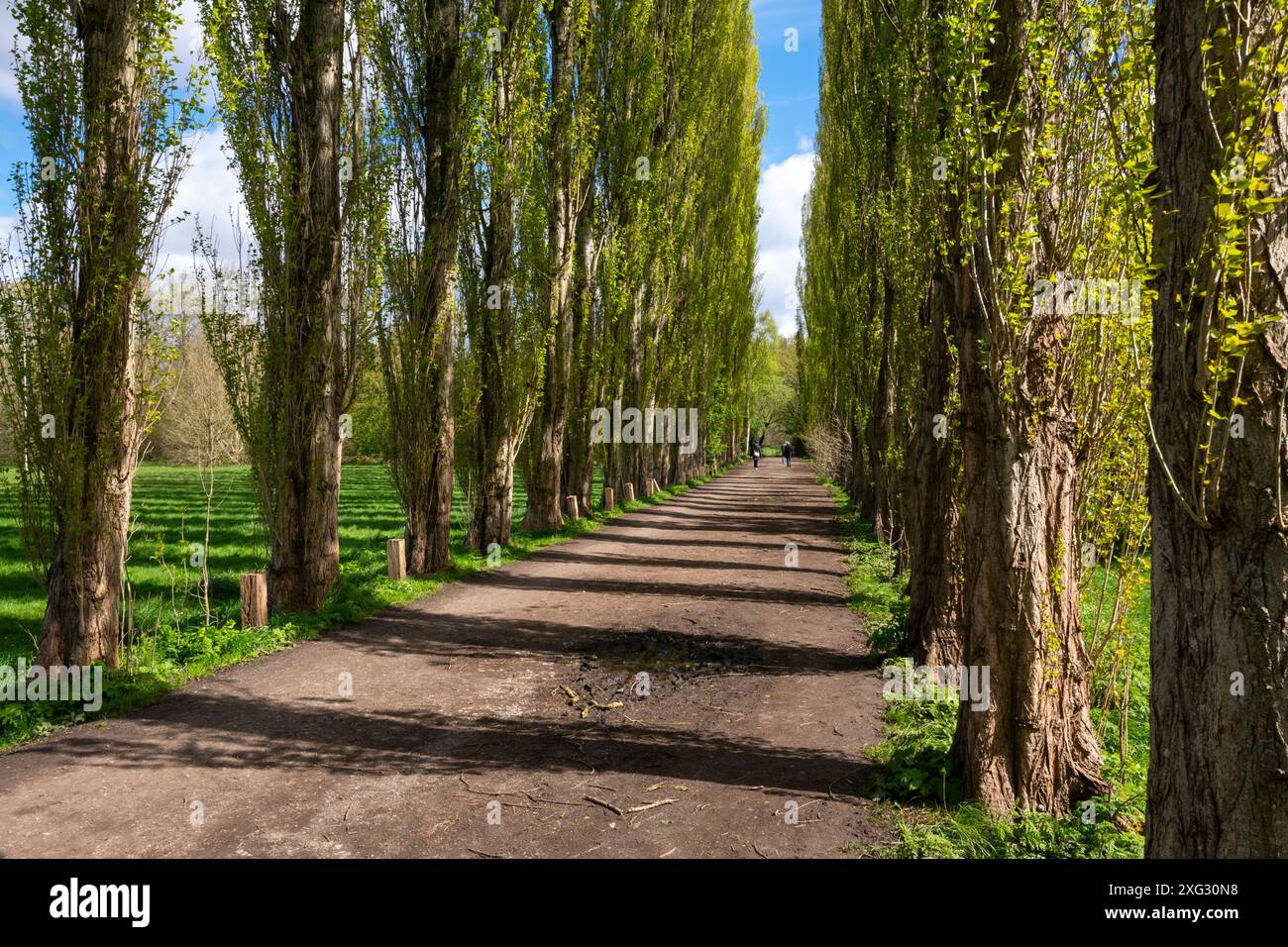 Fletcher moss botanical gardens hi-res stock photography and images - Alamy