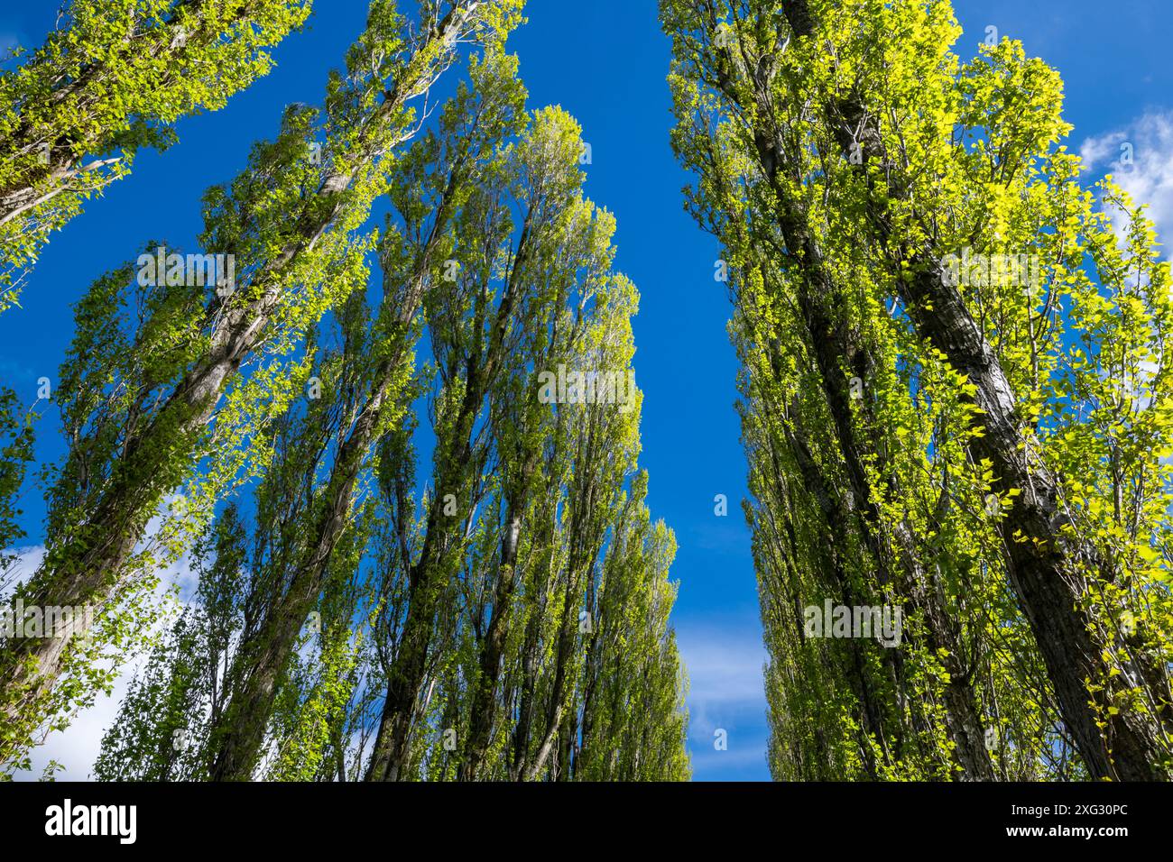 Fletcher moss botanical gardens hi-res stock photography and images - Alamy