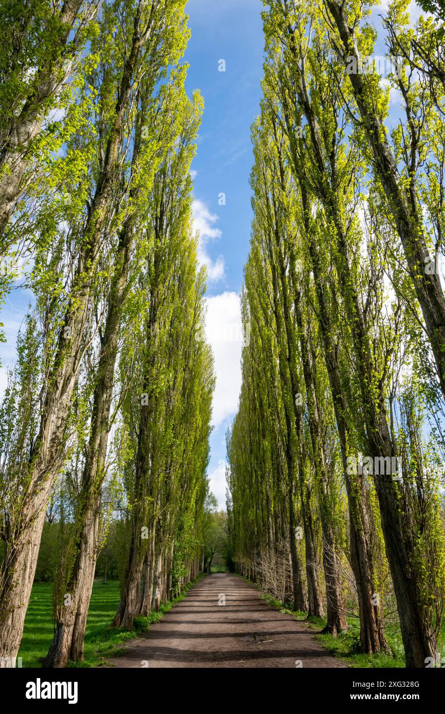 Fletcher moss botanical gardens hi-res stock photography and images - Alamy