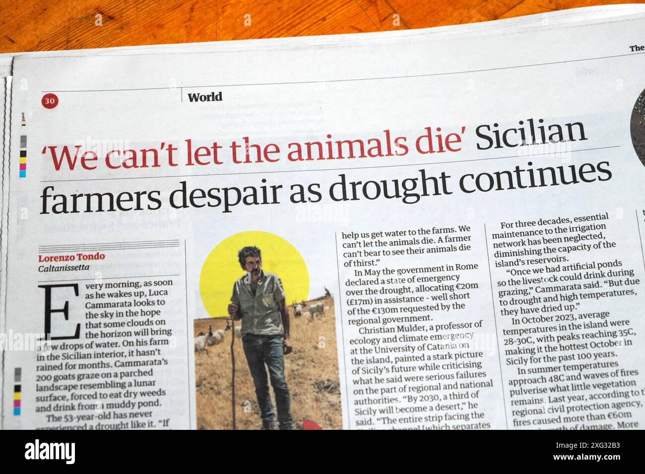 'We can't let the animals die' Sicilian farmers despair as drought ...