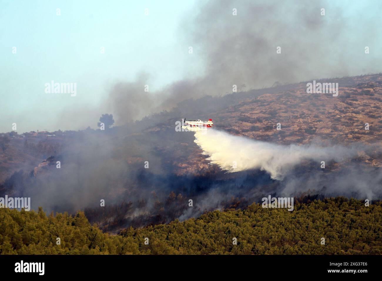 A firefighting helicopter throws water over a wildfire at Keratea area ...