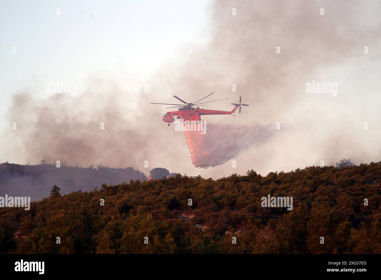 A firefighting helicopter throws water over a wildfire at Keratea area ...