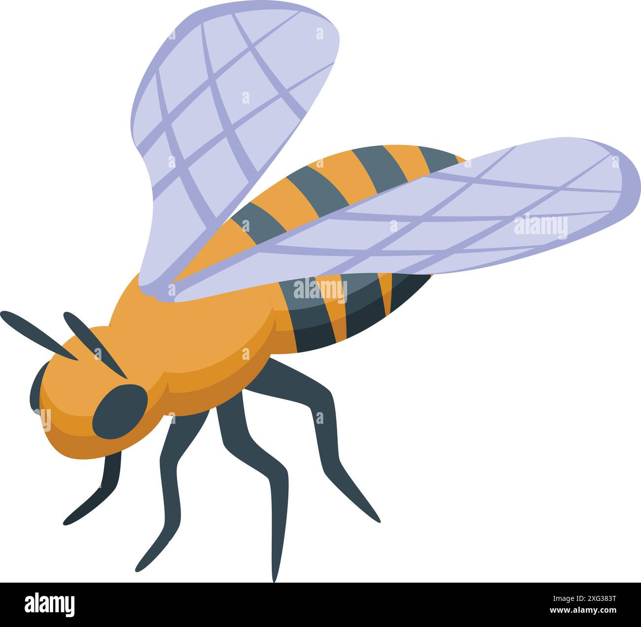 Honey bee flying with spread wings illustration Stock Vector Image ...