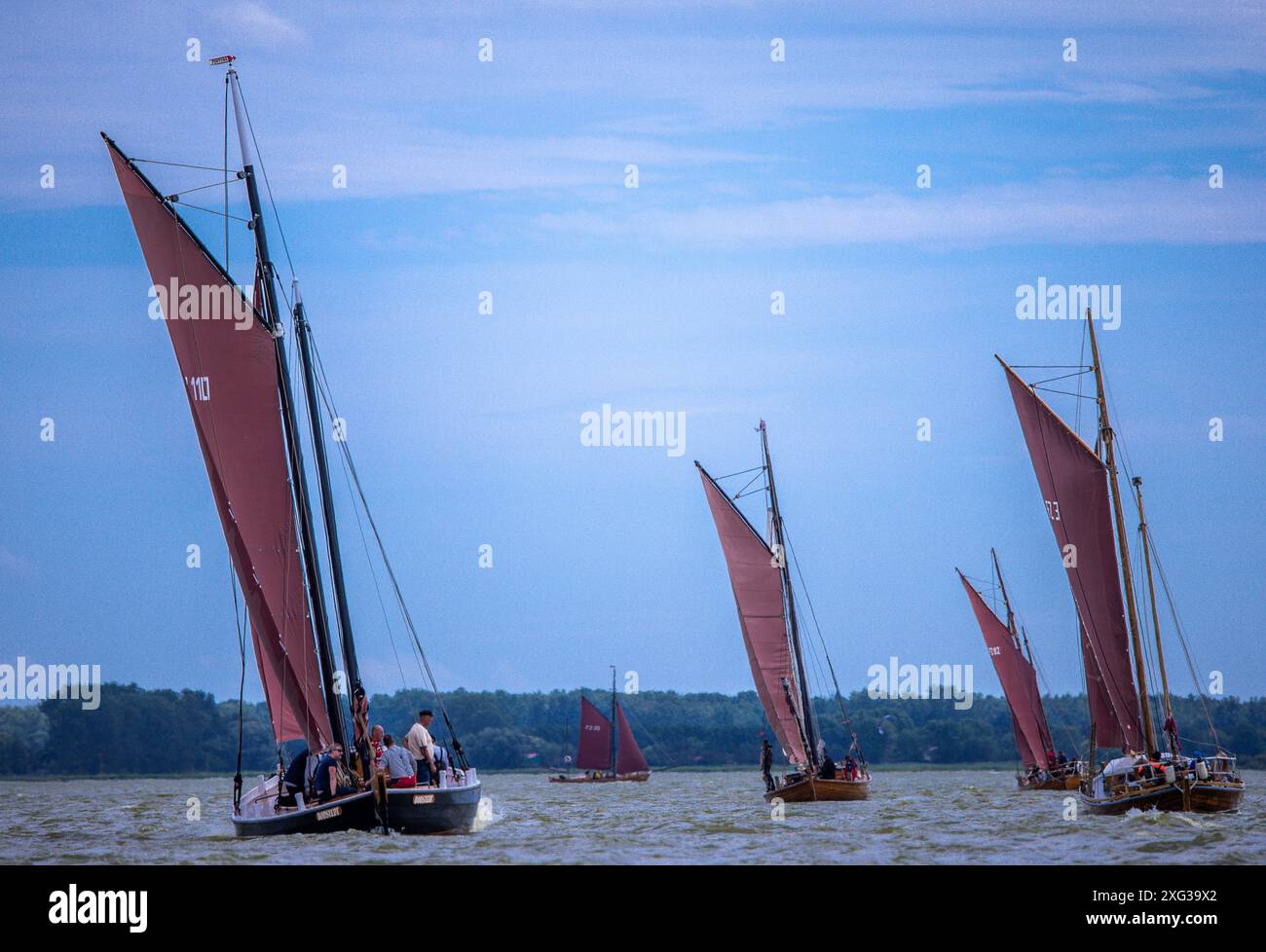 06 July 2024, Mecklenburg-Western Pomerania, Wustrow: Zeesboats, up to ...