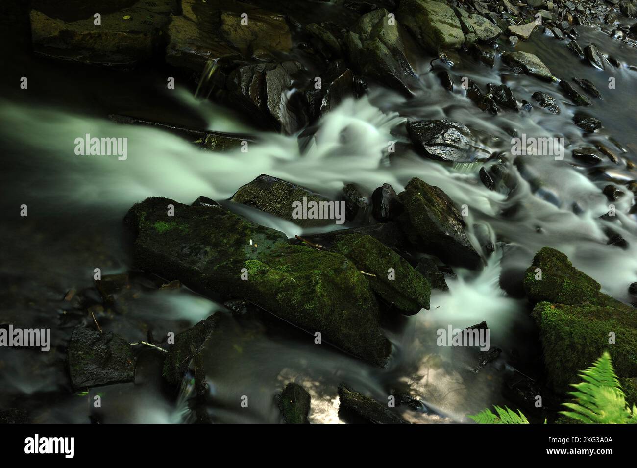 Melincourt Brook just below Melincourt Falls Stock Photo - Alamy