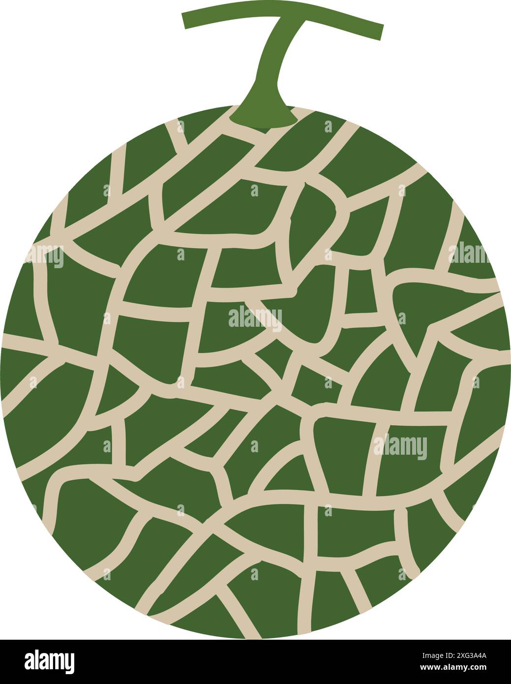 Melon vector. melon on white background. wallpaper. logo design Stock ...