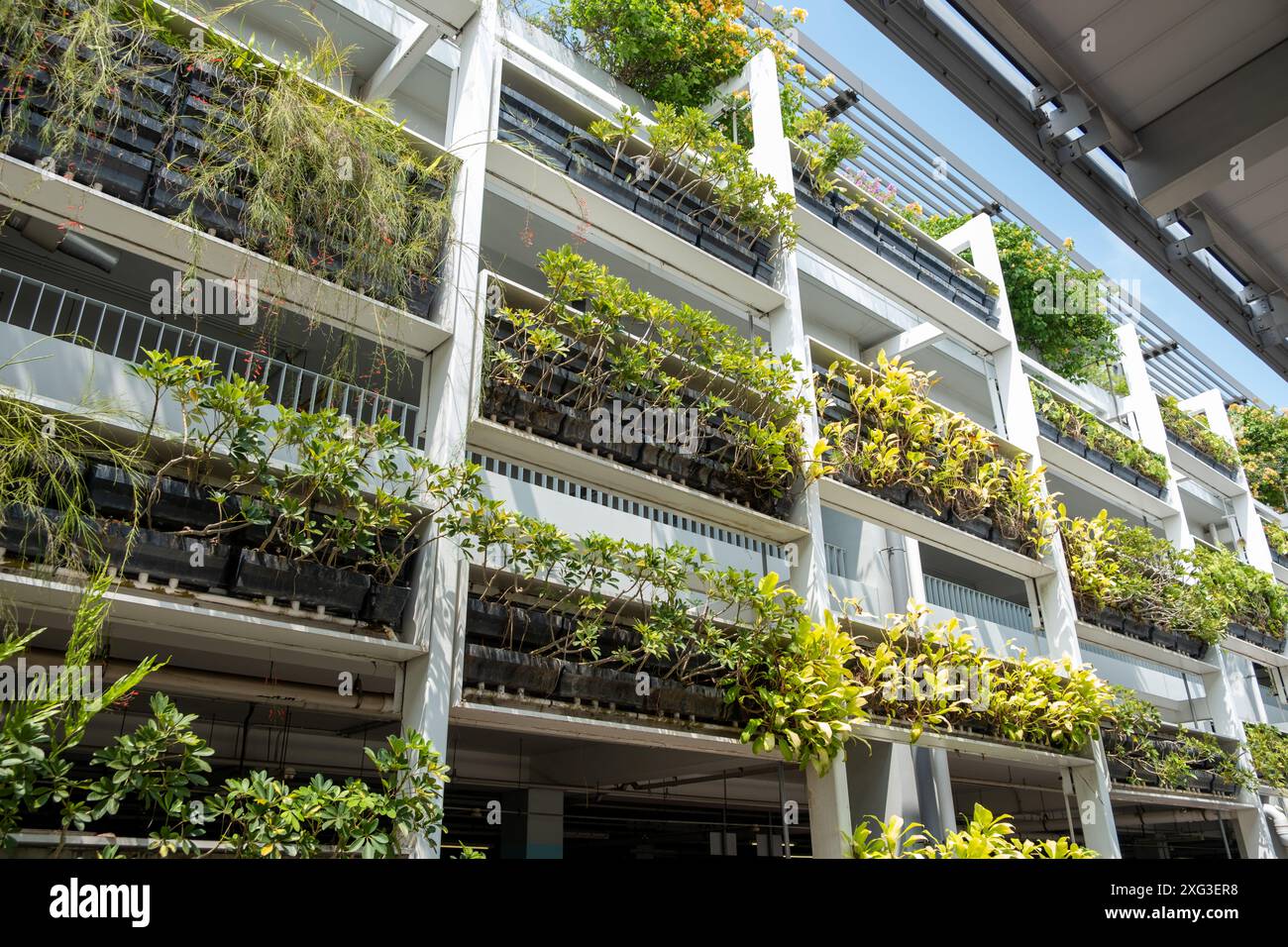 Green facade, vertical garden in architecture. Ecological building ...