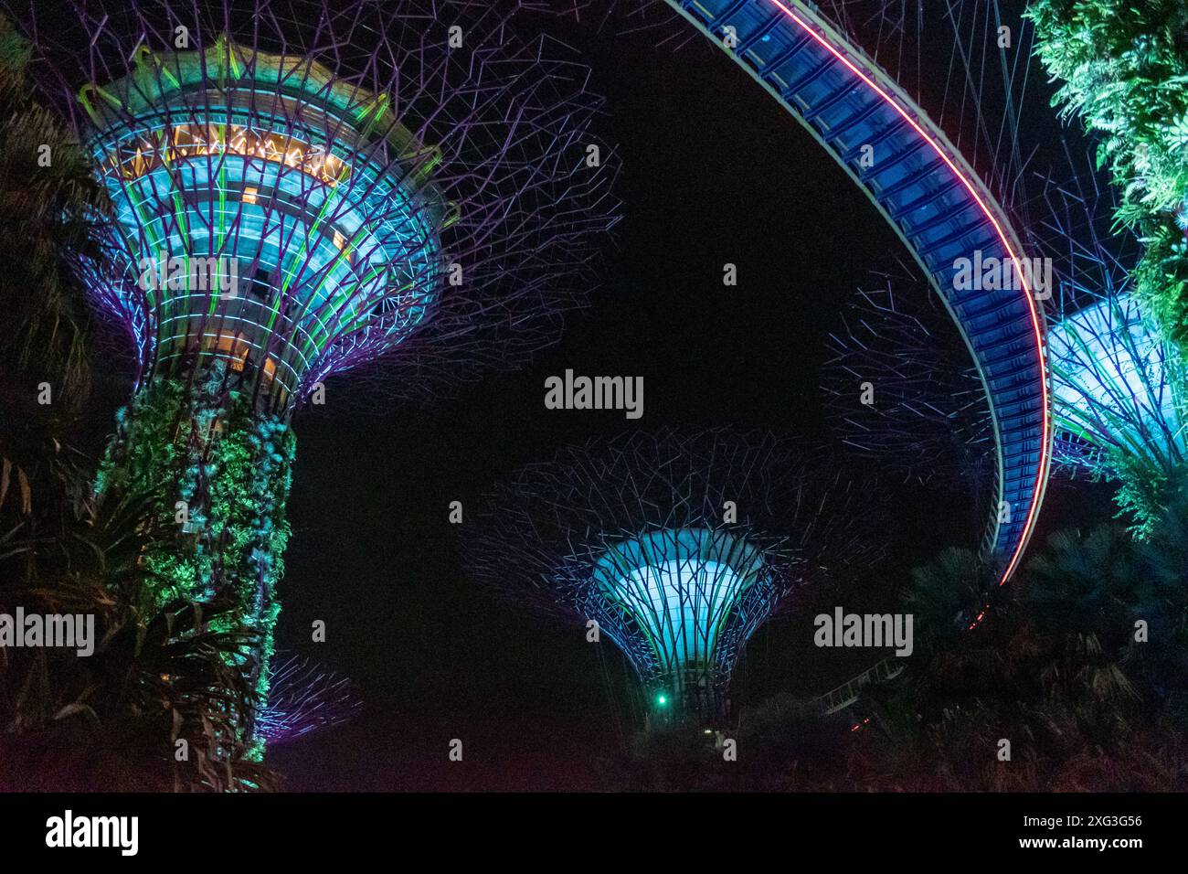Supertree Grove in Garden By the Bay, Singapore at night during the ...