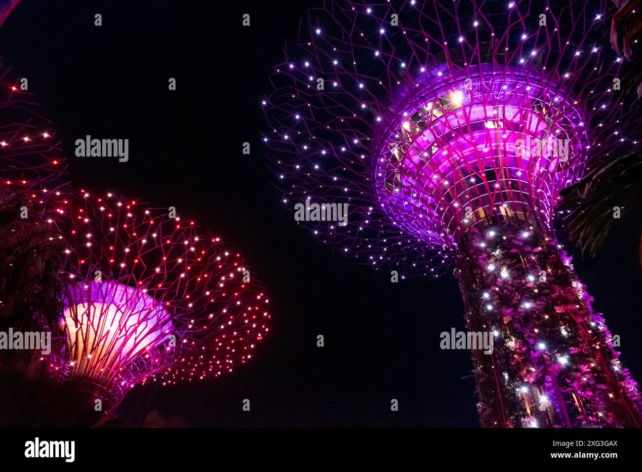 Supertree Grove in Garden By the Bay, Singapore at night during the ...