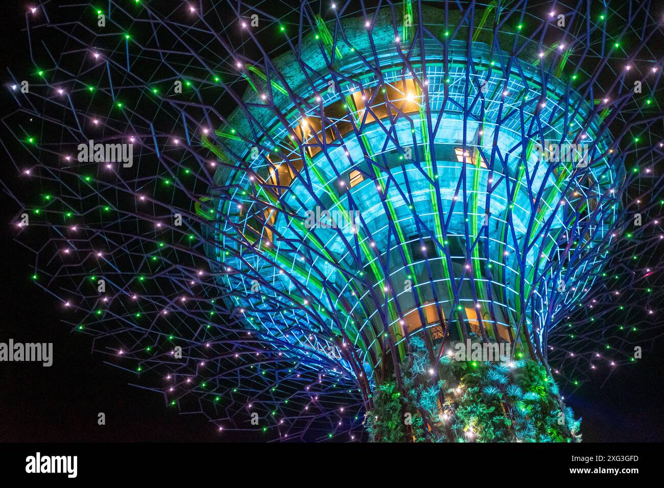 Supertree Grove in Garden By the Bay, Singapore at night during the ...