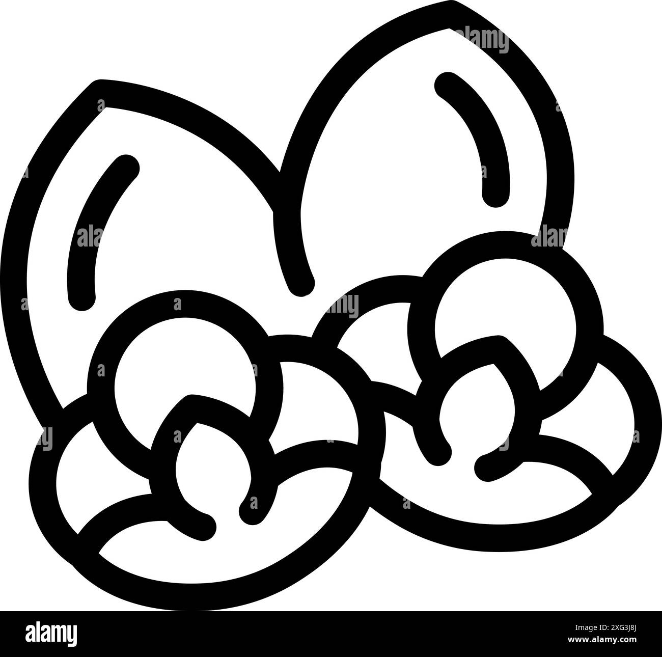 Simple line drawing of macadamia nuts still in shell, perfect for ...