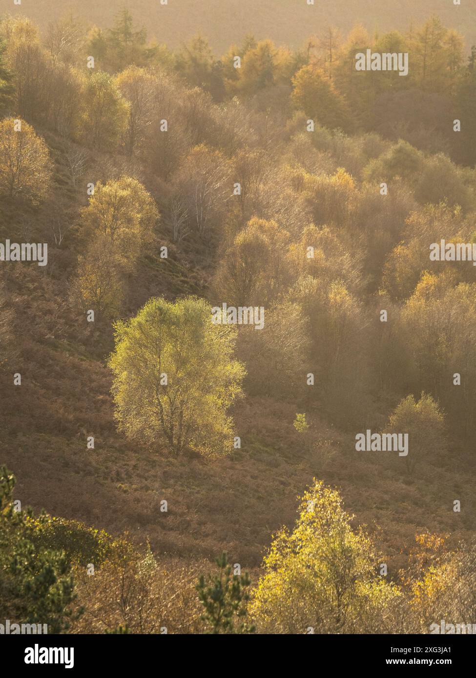 Dramatic scenery and views from the Stiperstones, an exposed quartzite ...