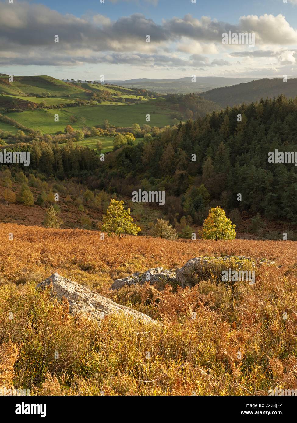 Dramatic scenery and views from the Stiperstones, an exposed quartzite ...