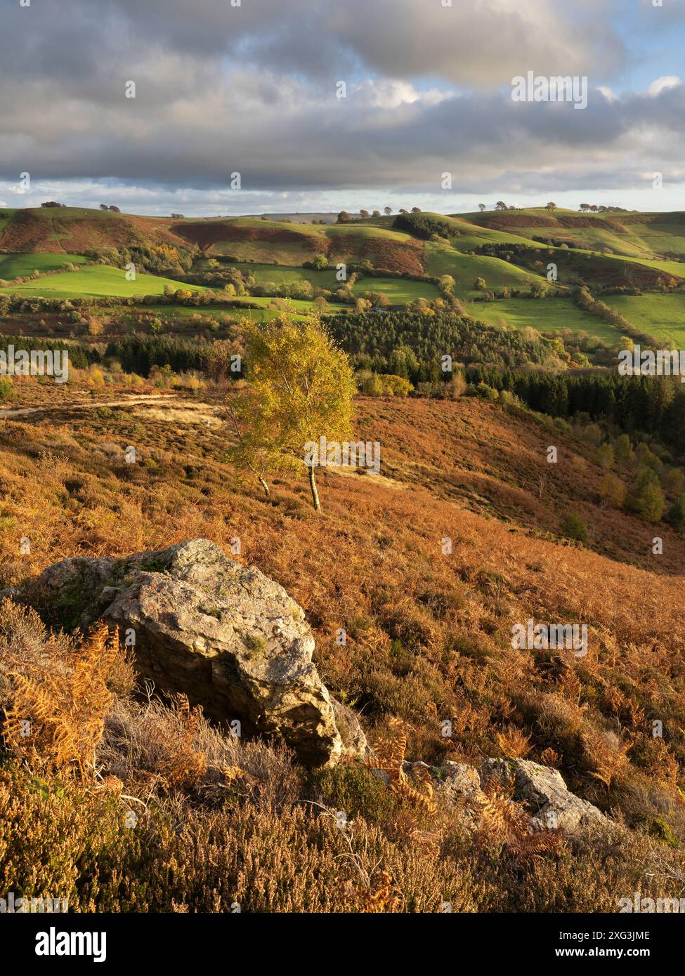 Dramatic scenery and views from the Stiperstones, an exposed quartzite ...