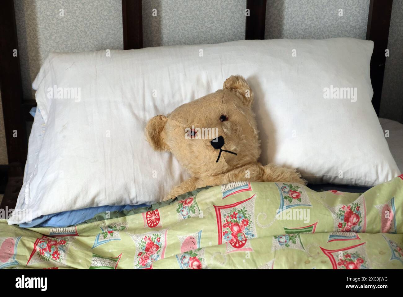 Old teddy bear in bed Stock Photo - Alamy