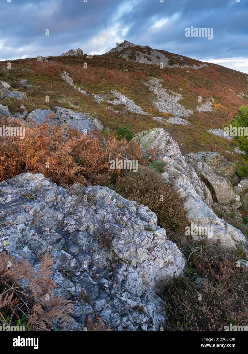 Dramatic scenery and views from the Stiperstones, an exposed quartzite ...