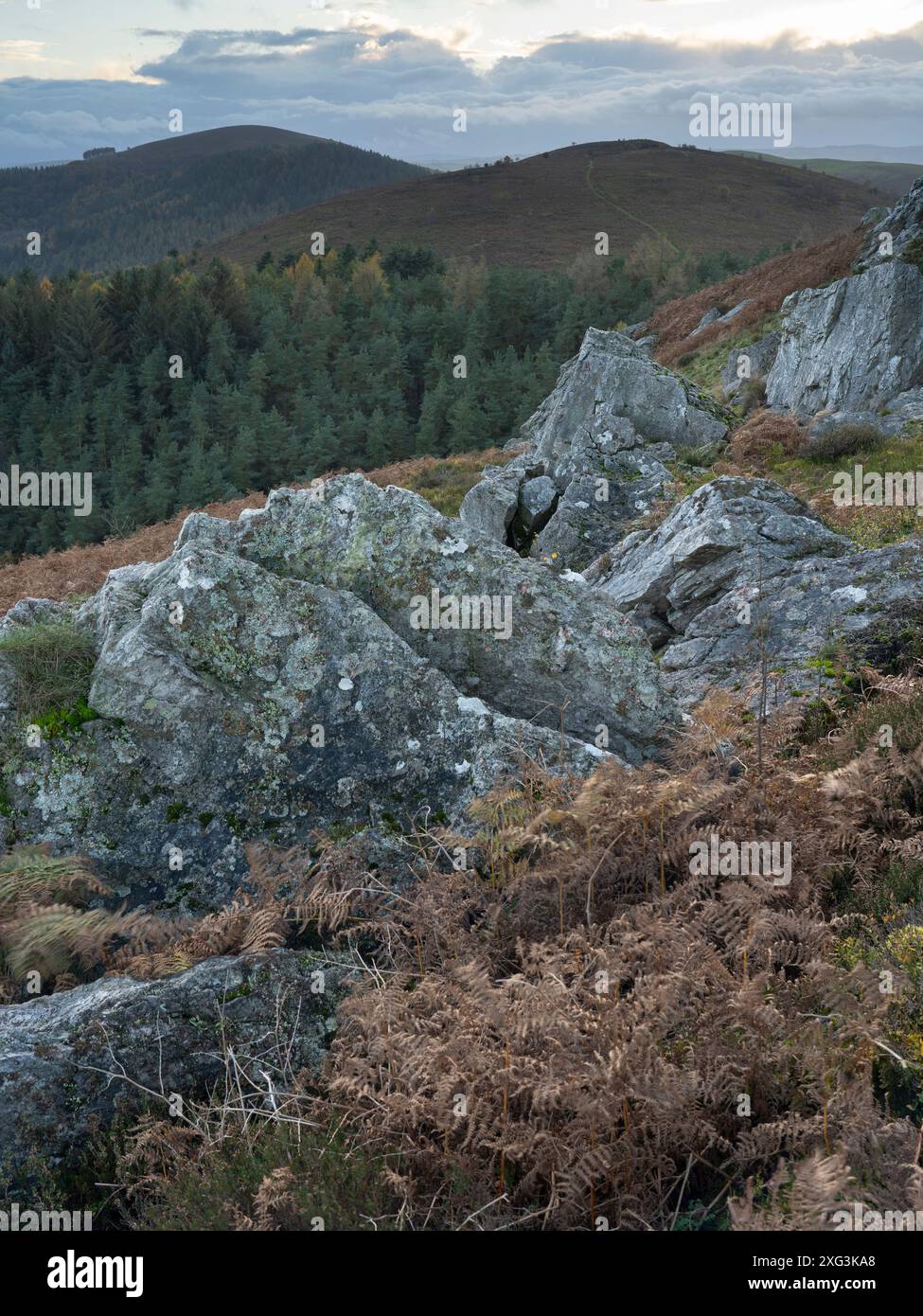 Dramatic scenery and views from the Stiperstones, an exposed quartzite ...