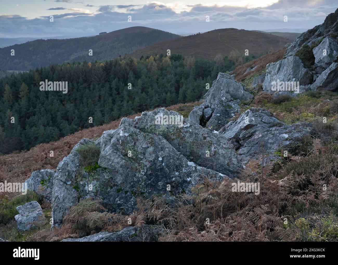 Dramatic scenery and views from the Stiperstones, an exposed quartzite ...