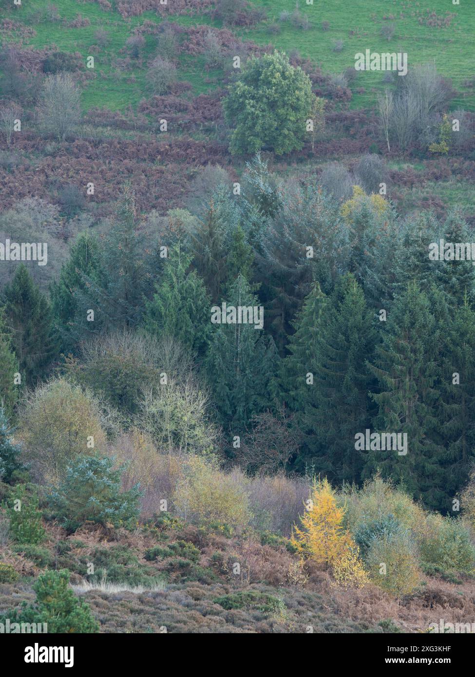 Dramatic scenery and views from the Stiperstones, an exposed quartzite ...