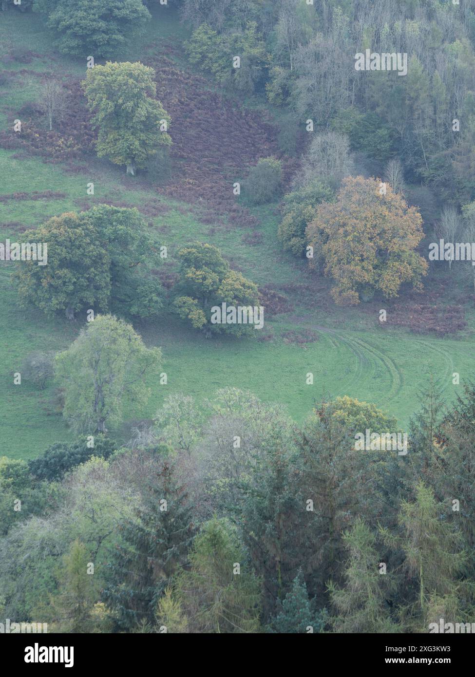Dramatic scenery and views from the Stiperstones, an exposed quartzite ...