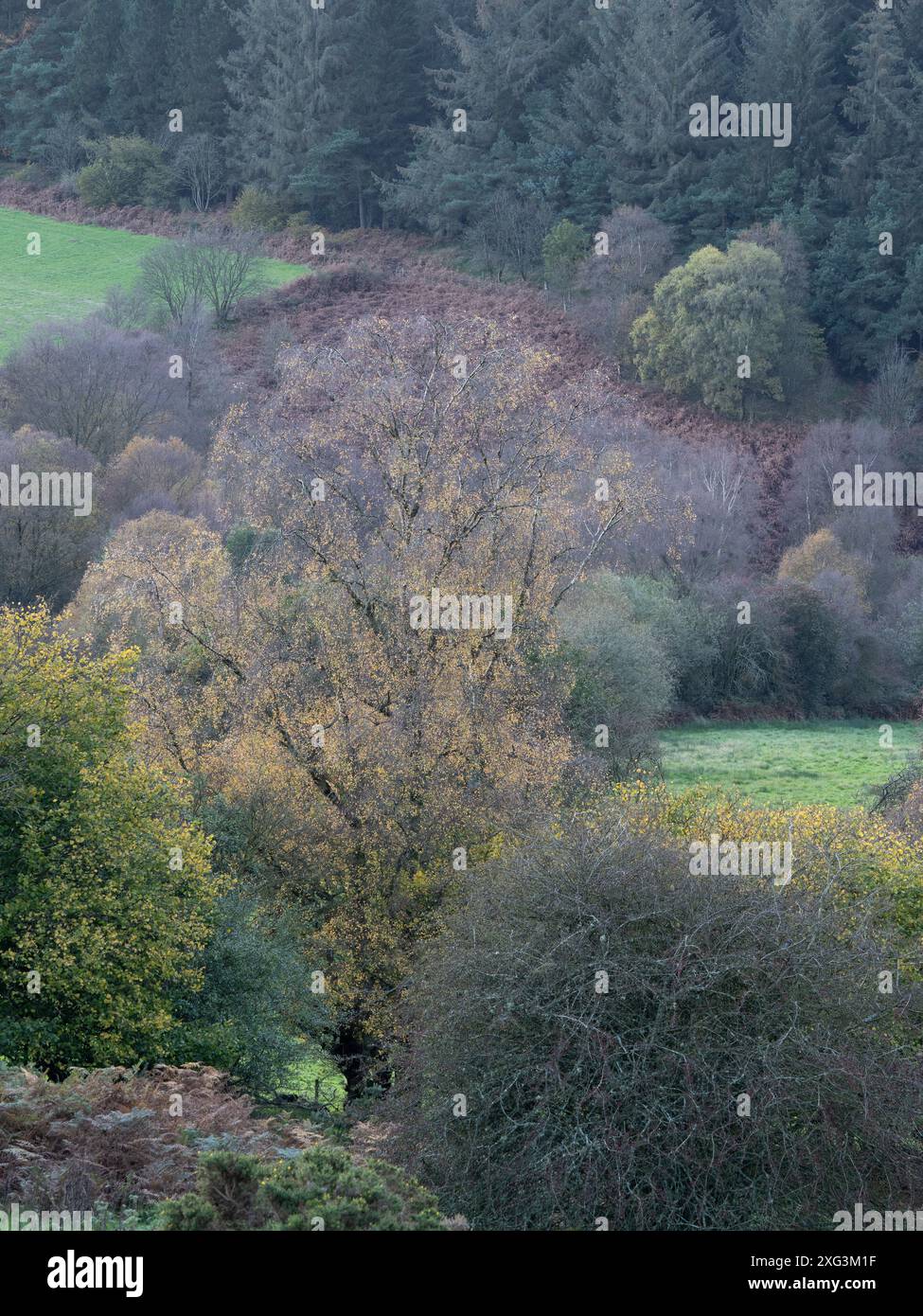 Dramatic scenery and views from the Stiperstones, an exposed quartzite ...