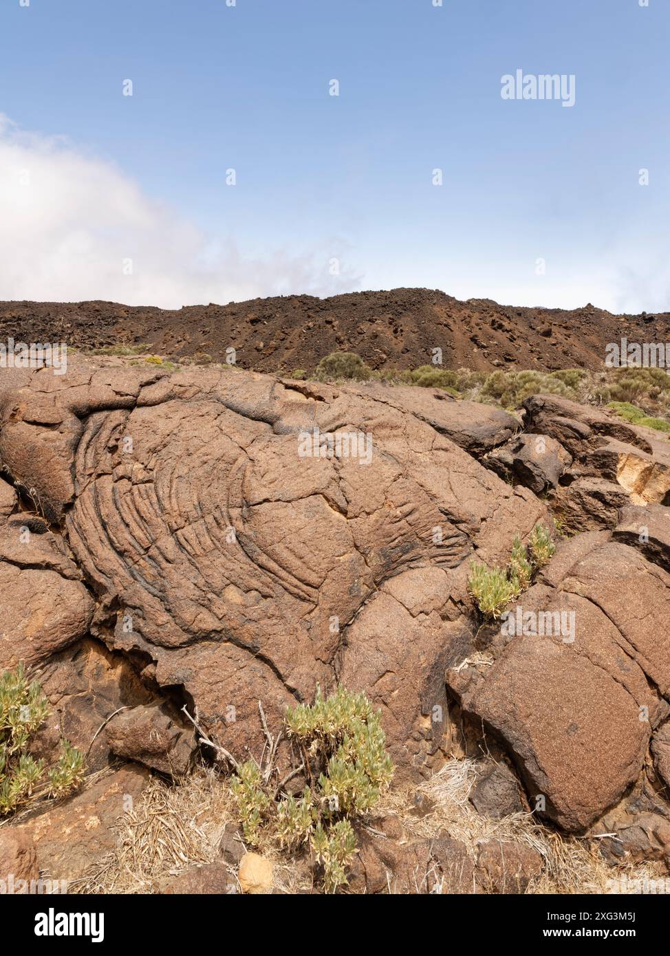 Old, cooled Pahoehoe lava with ropy texture, Teide National Park ...
