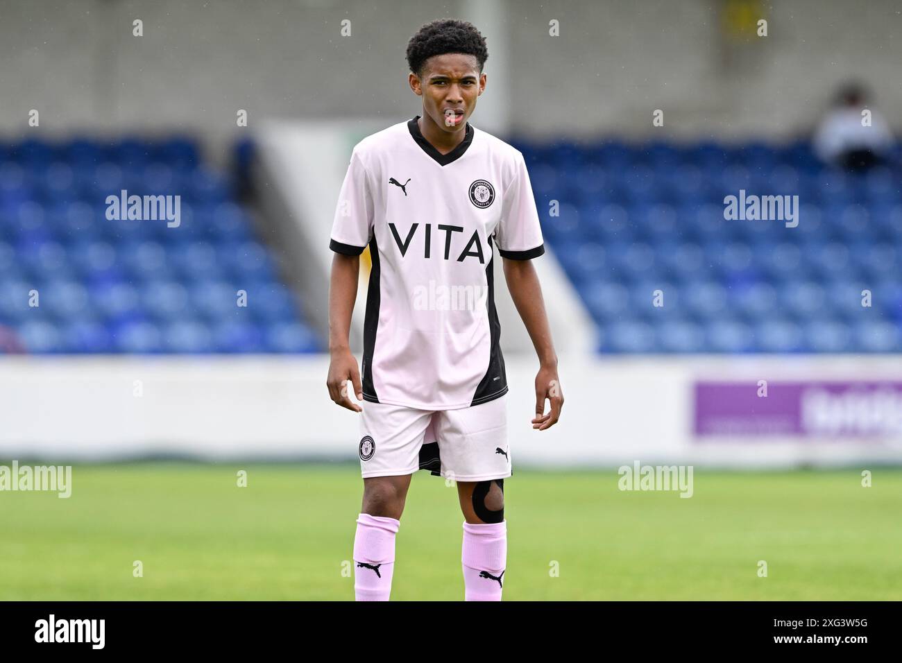Harry johnston hi-res stock photography and images - Alamy