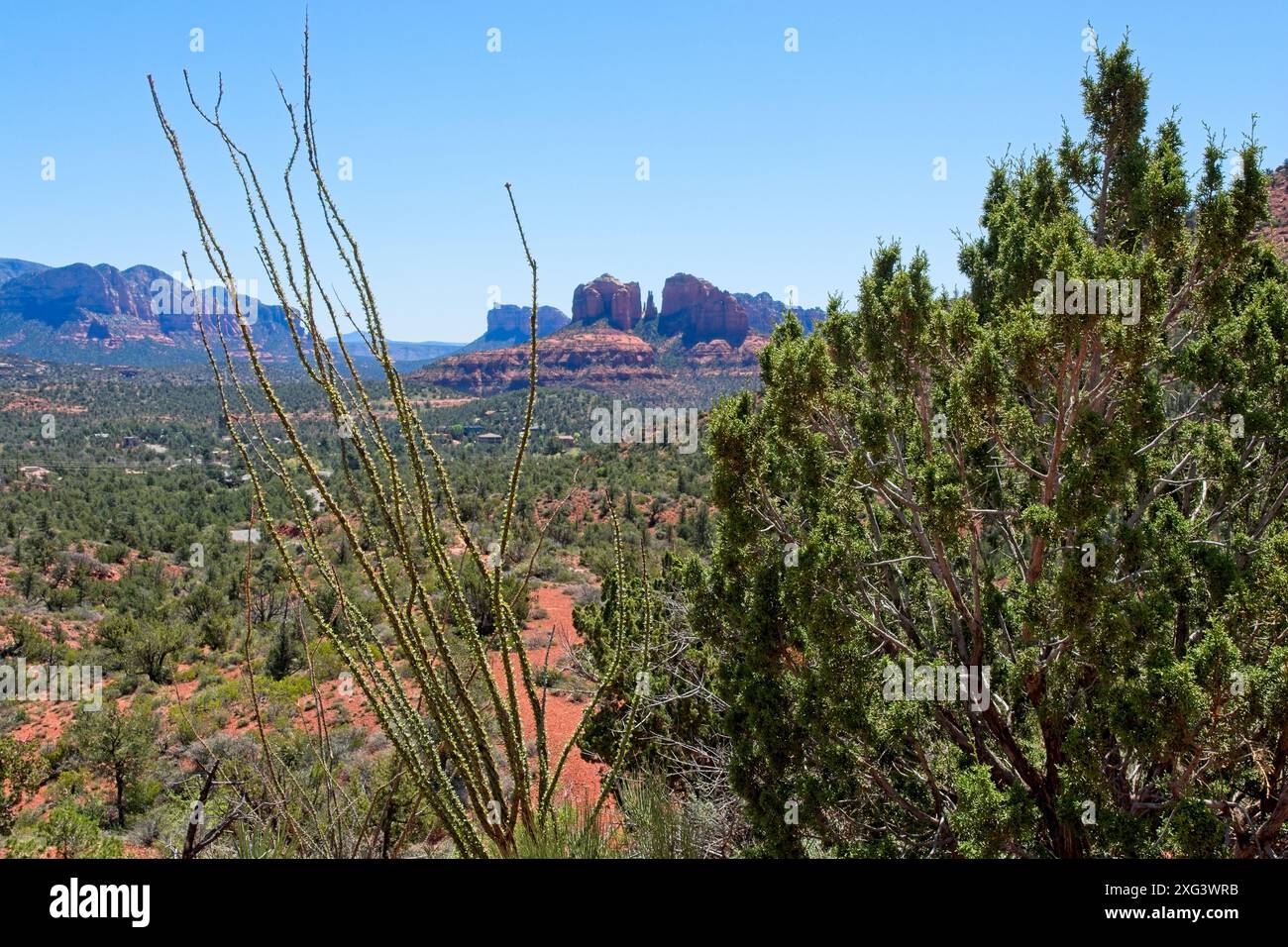 Red rock landscape with distant Cathedral rock outside Sedona Arizona ...