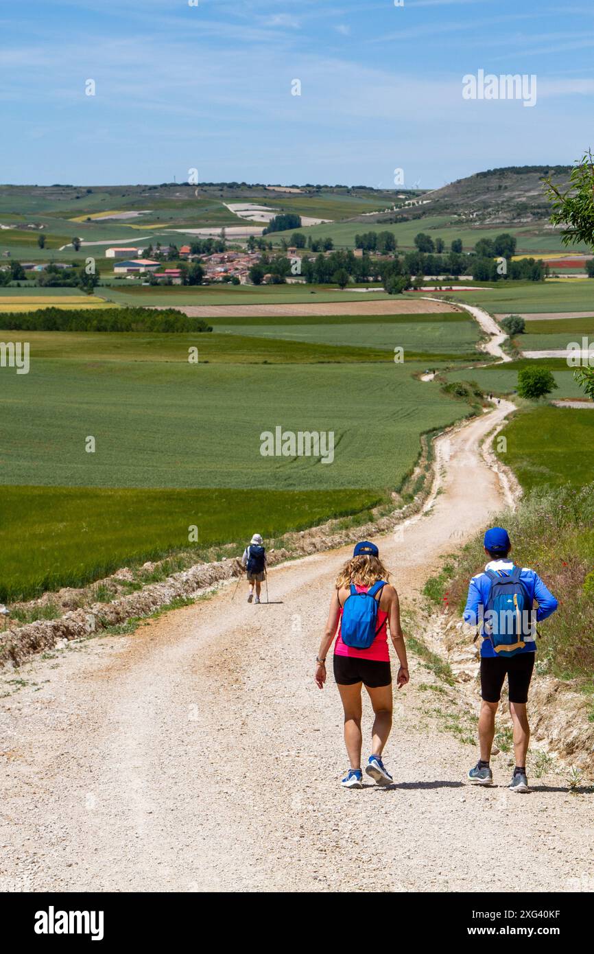 Pilgrims walking the Camino de Santiago the way of St James pilgrimage ...