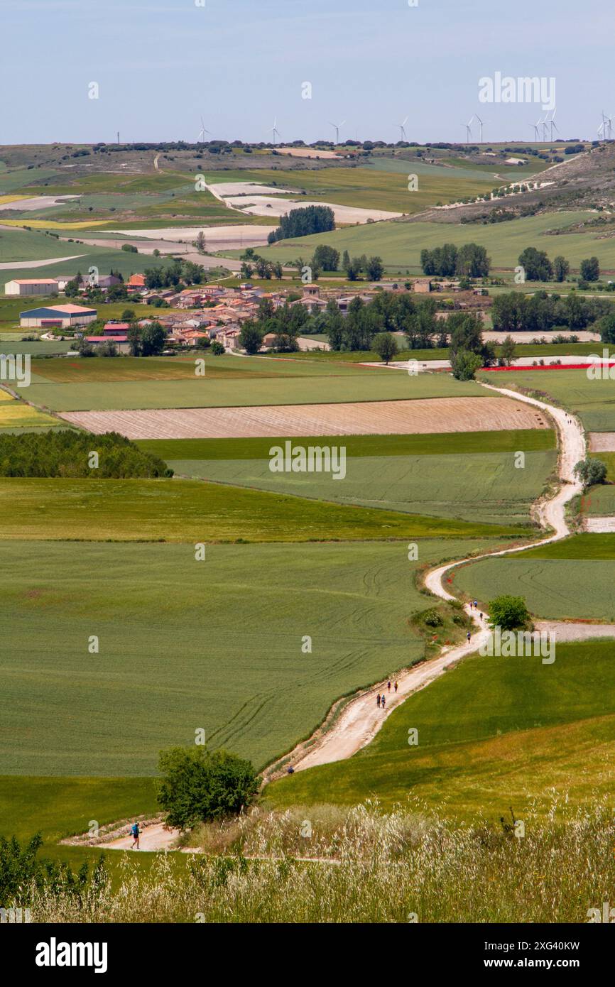 Pilgrims walking the Camino de Santiago the way of St James pilgrimage ...