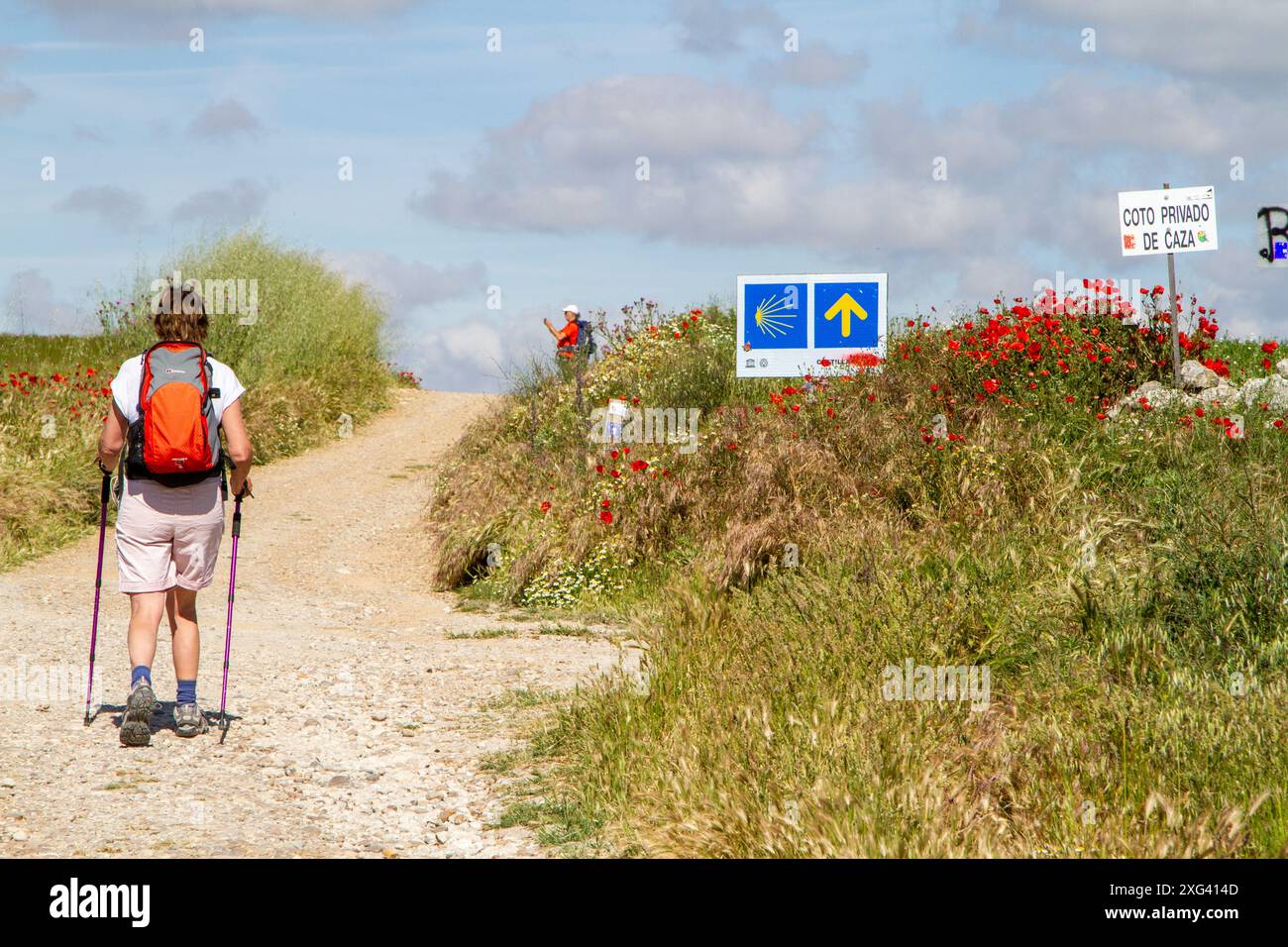 Pilgrims walking the Camino de Santiago the way of St James pilgrimage ...
