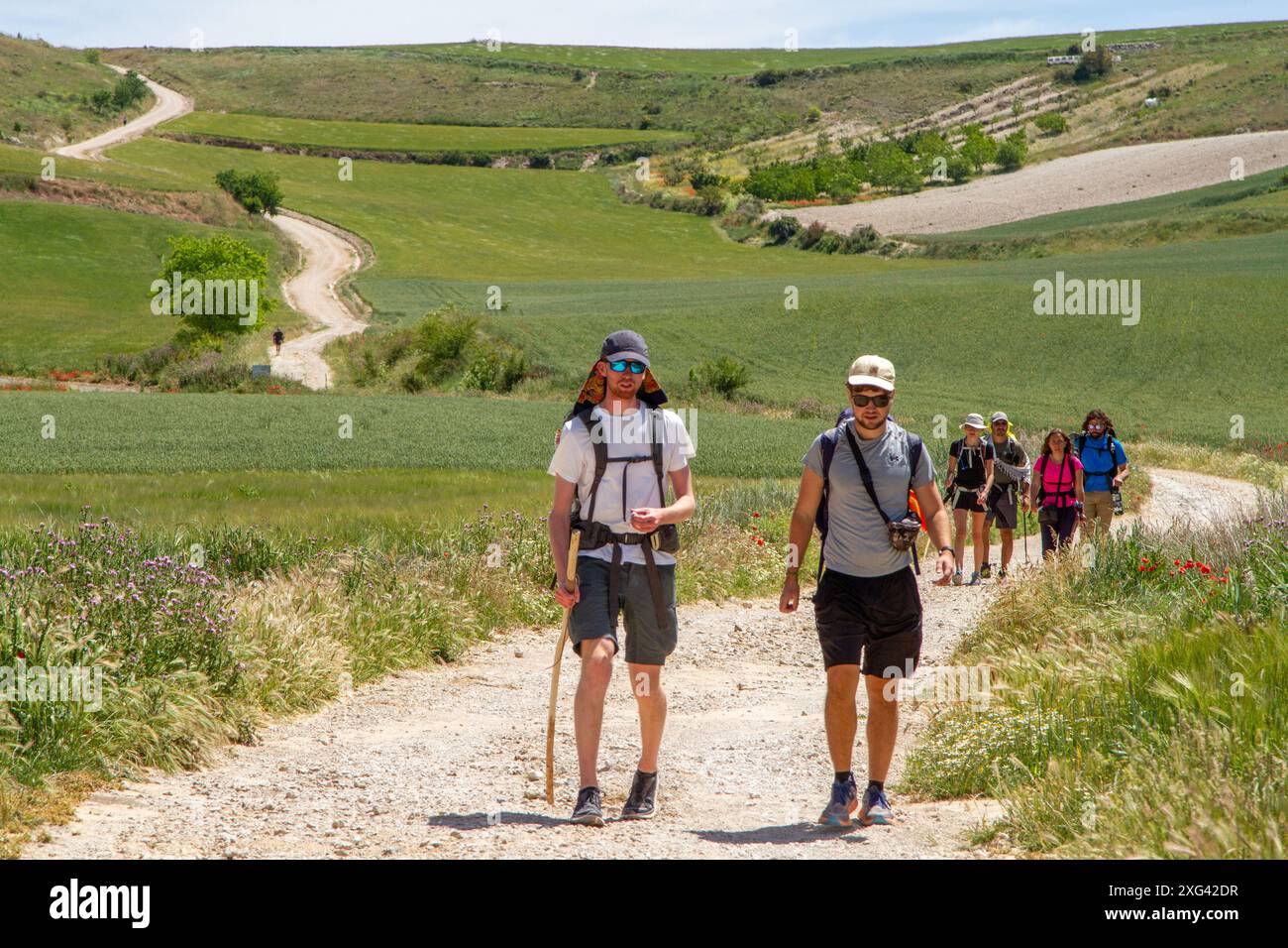 Pilgrims walking the Camino de Santiago the way of St James pilgrim ...