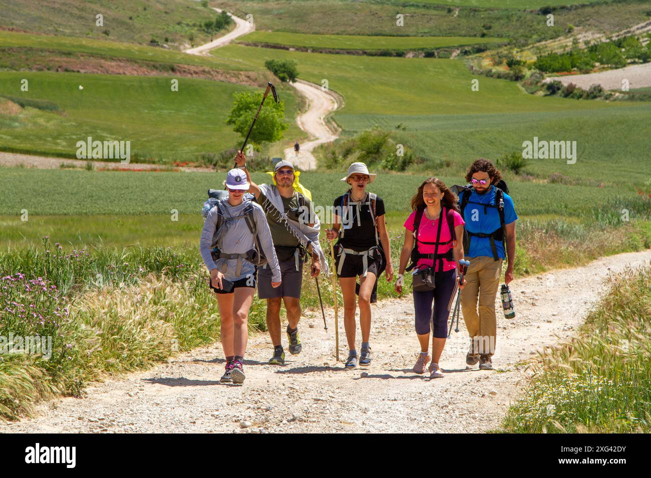 Pilgrims walking the Camino de Santiago the way of St James pilgrim ...