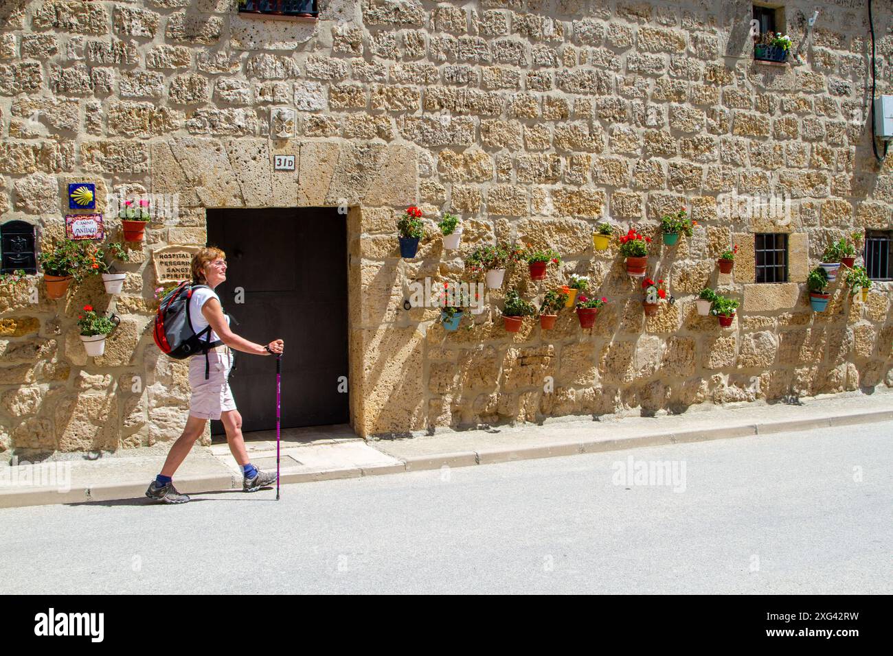walking the Camino del Santiago the way of St James the French route ...