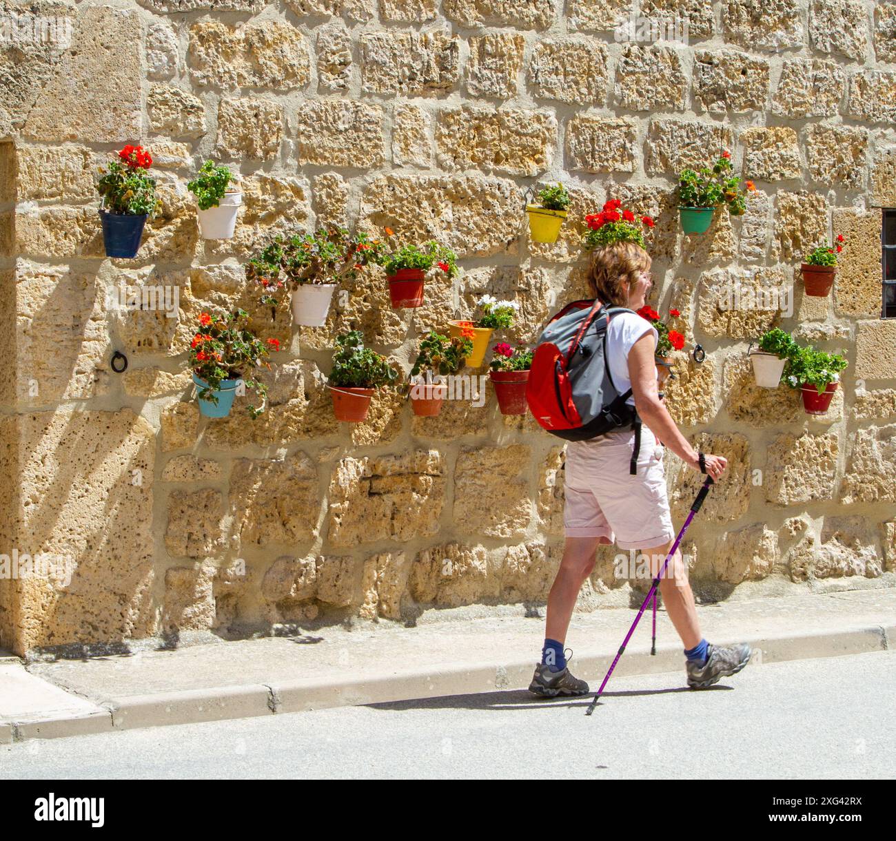 walking the Camino del Santiago the way of St James the French route ...
