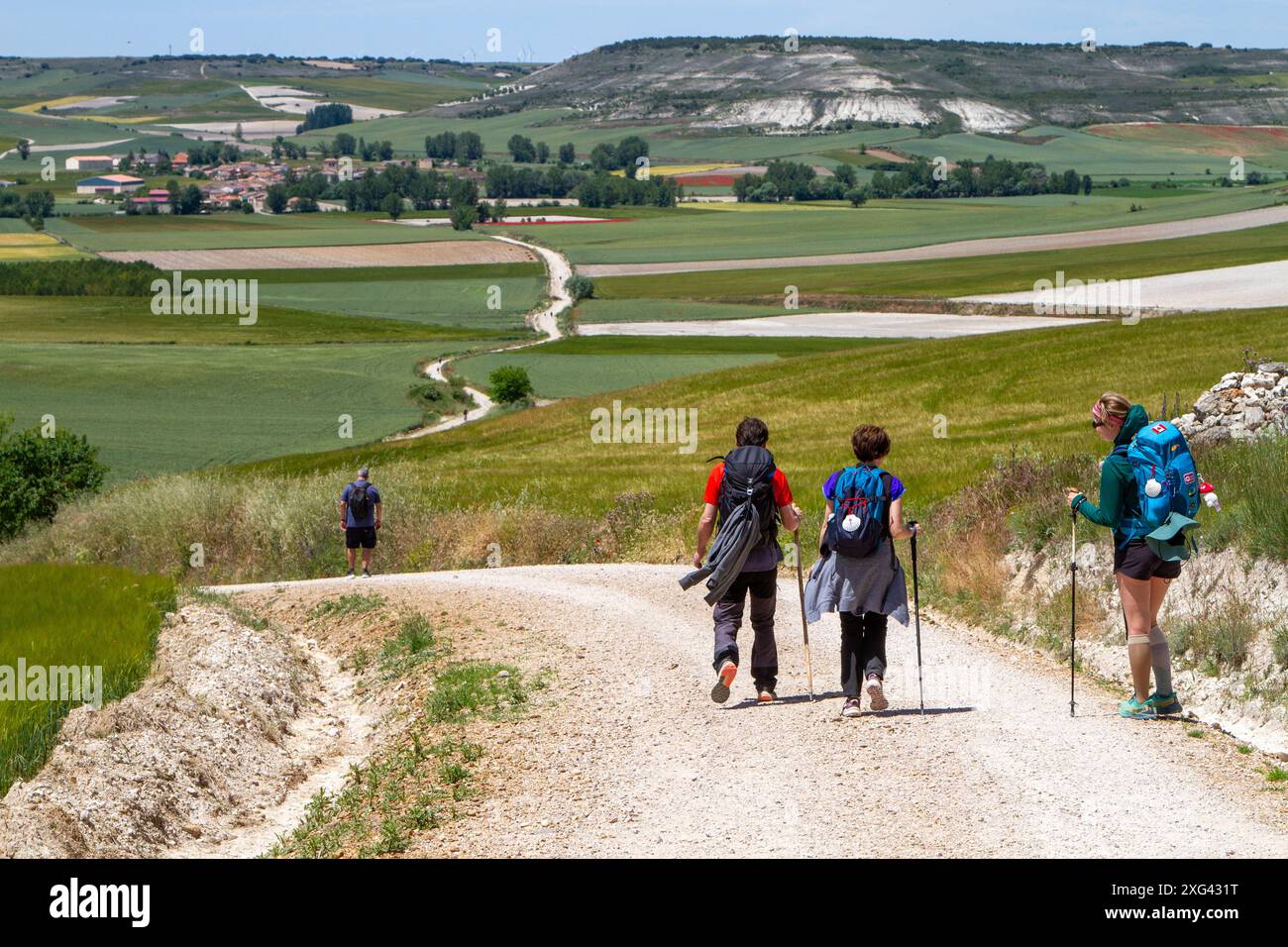 Pilgrims walking the Camino de Santiago the way of St James pilgrim ...