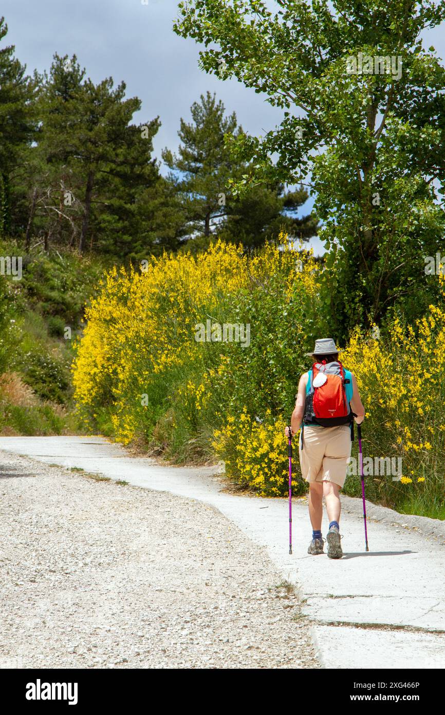 Pilgrim walking the Camino de Santiago the way of St James pilgrimage ...