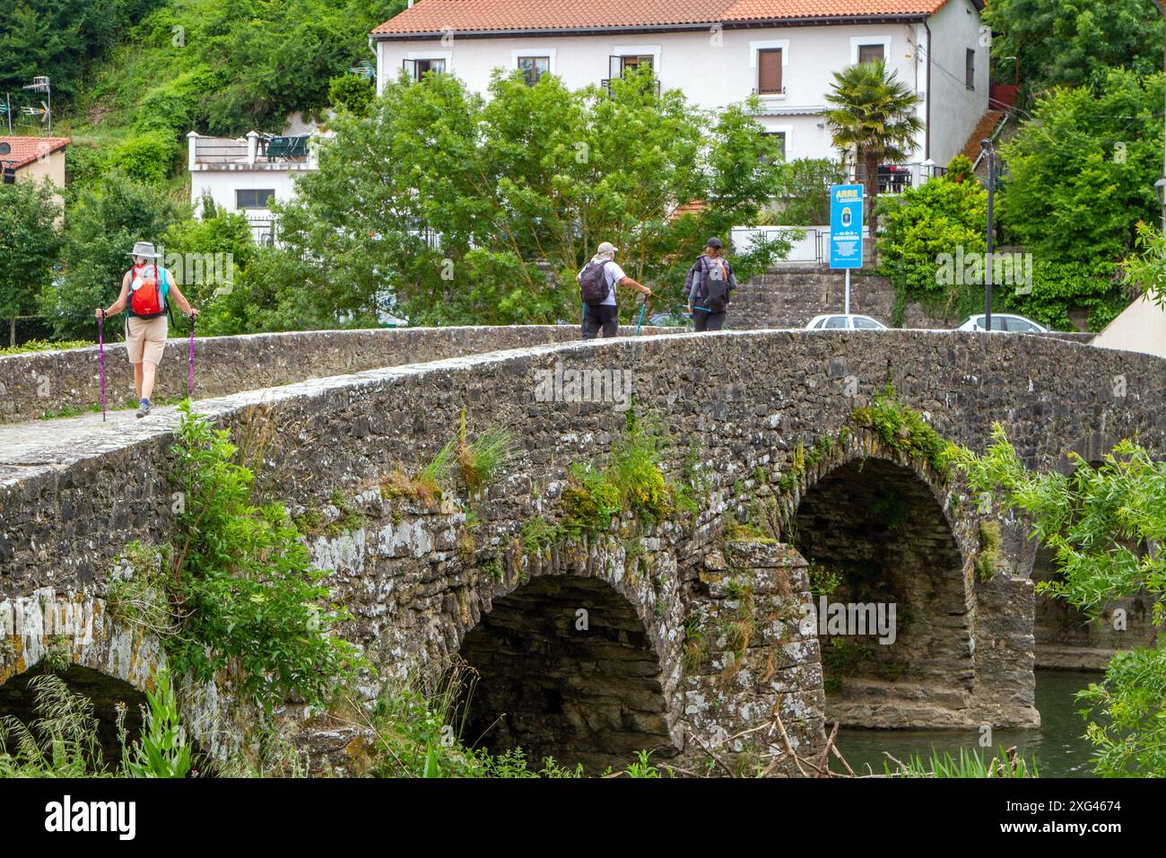 Pilgrims walking the Camino de Santiago the way of St James pilgrim ...