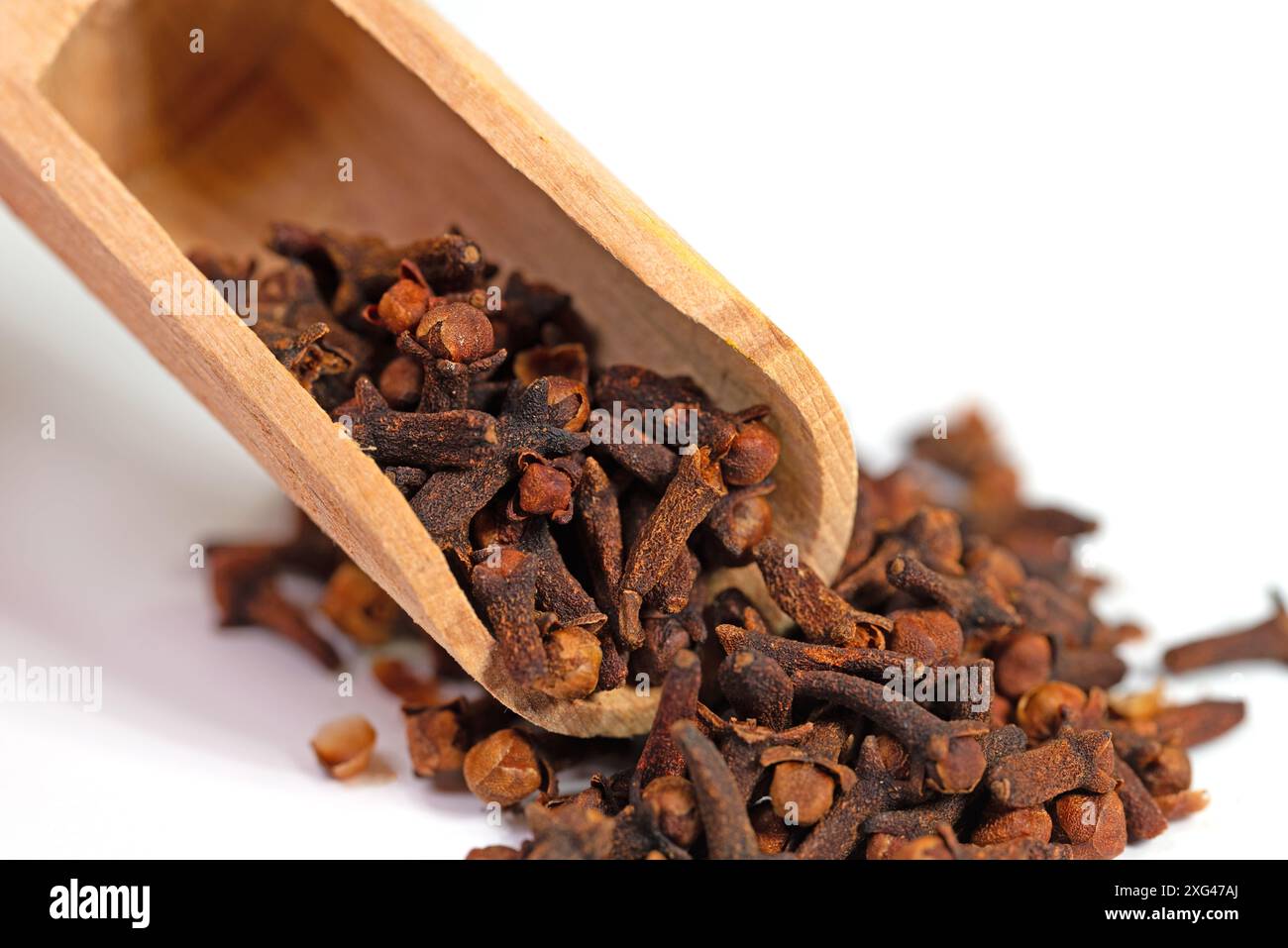 Cloves, dried flower buds from the clove tree Stock Photo - Alamy