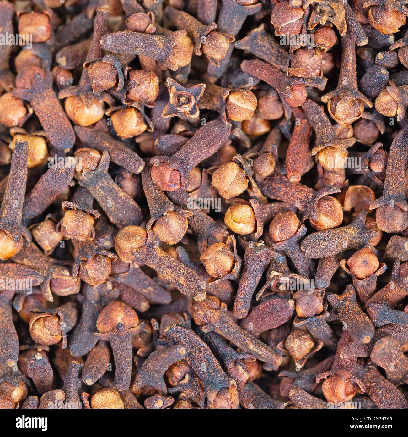 Cloves, dried flower buds from the clove tree Stock Photo - Alamy