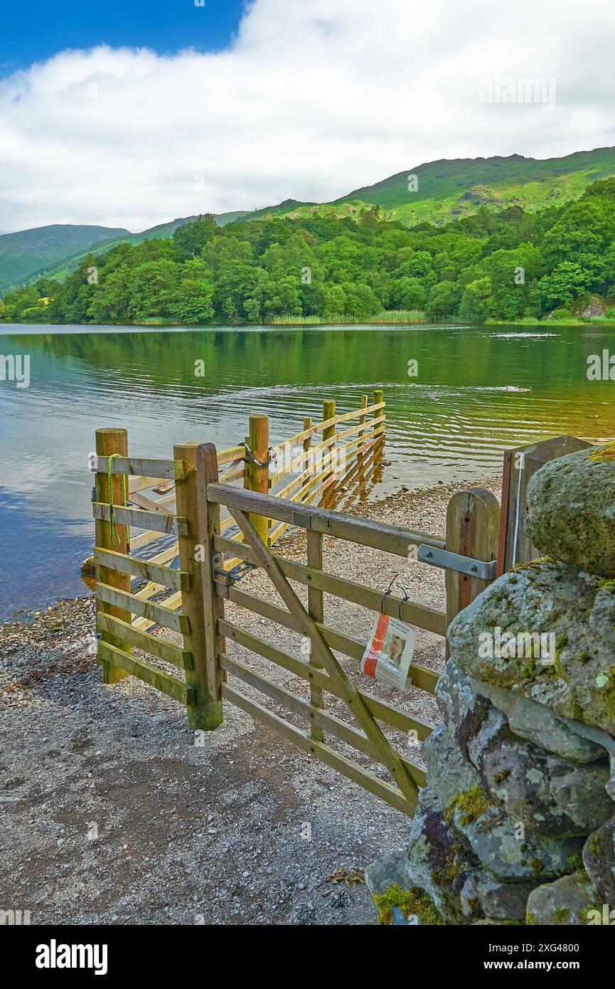 Timber fence extending into Lake Grasmere in the Lake District, England ...