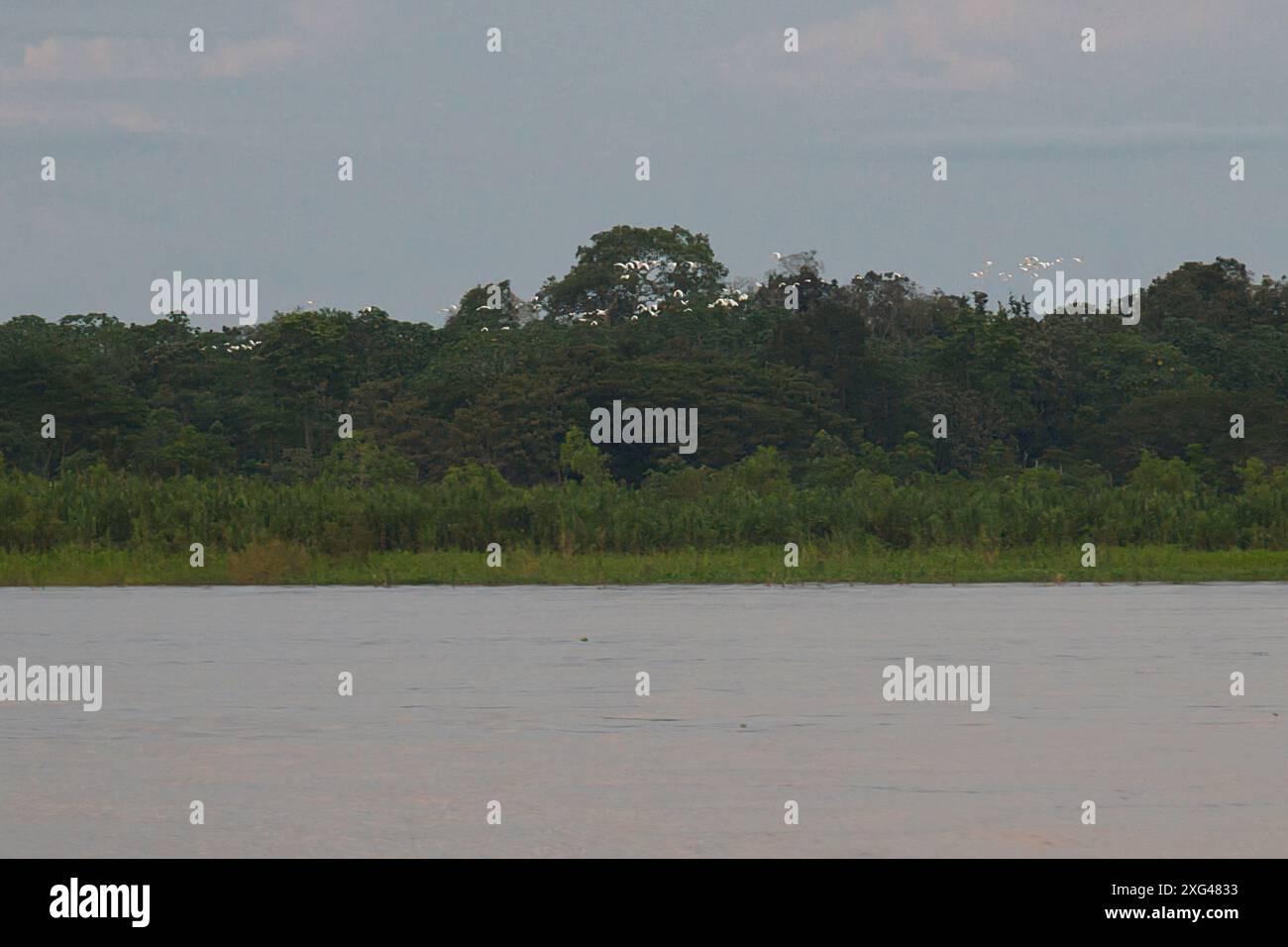 Scenic Aerial View of Amazon Rainforest Village by the River with Lush ...