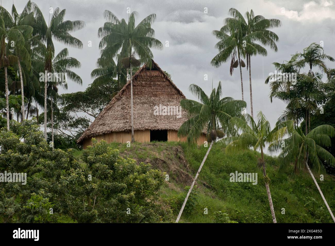 Amazon rainforest indigenous hi-res stock photography and images - Alamy