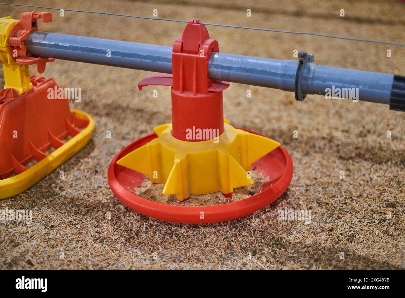 Chicken feeder placed on the floor of a chicken farm, no people Stock ...