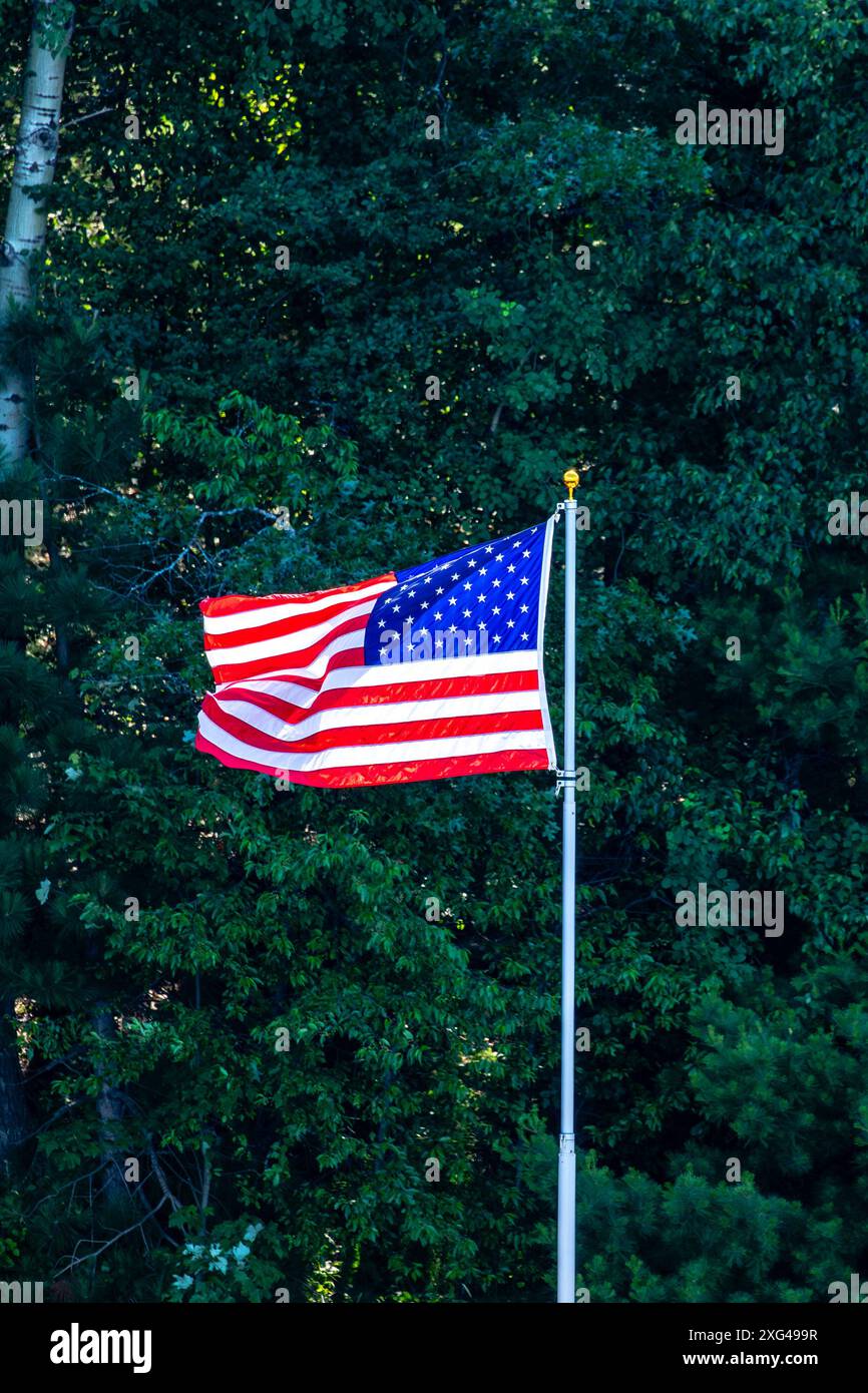 Flag united states forest hi-res stock photography and images - Alamy