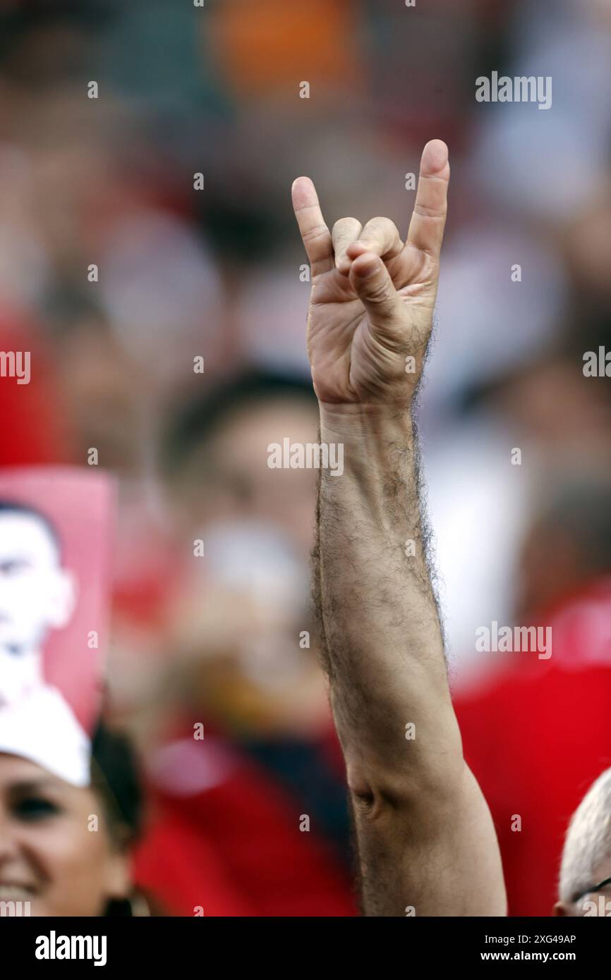 Turkish wolf hi-res stock photography and images - Alamy